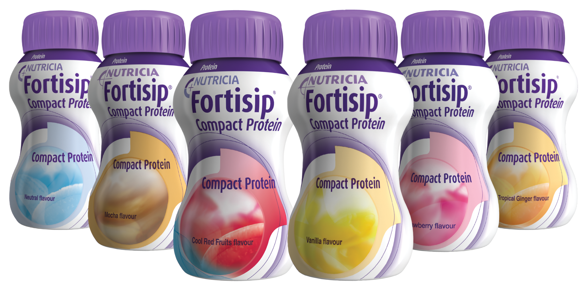 Fortsip Compact Protein - Cool Red Fruits - Adult | Nutricia